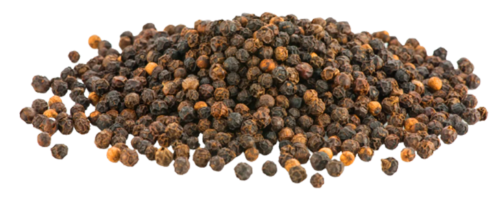 Sister Spices – নিশ্চিন্তের প্রতিক